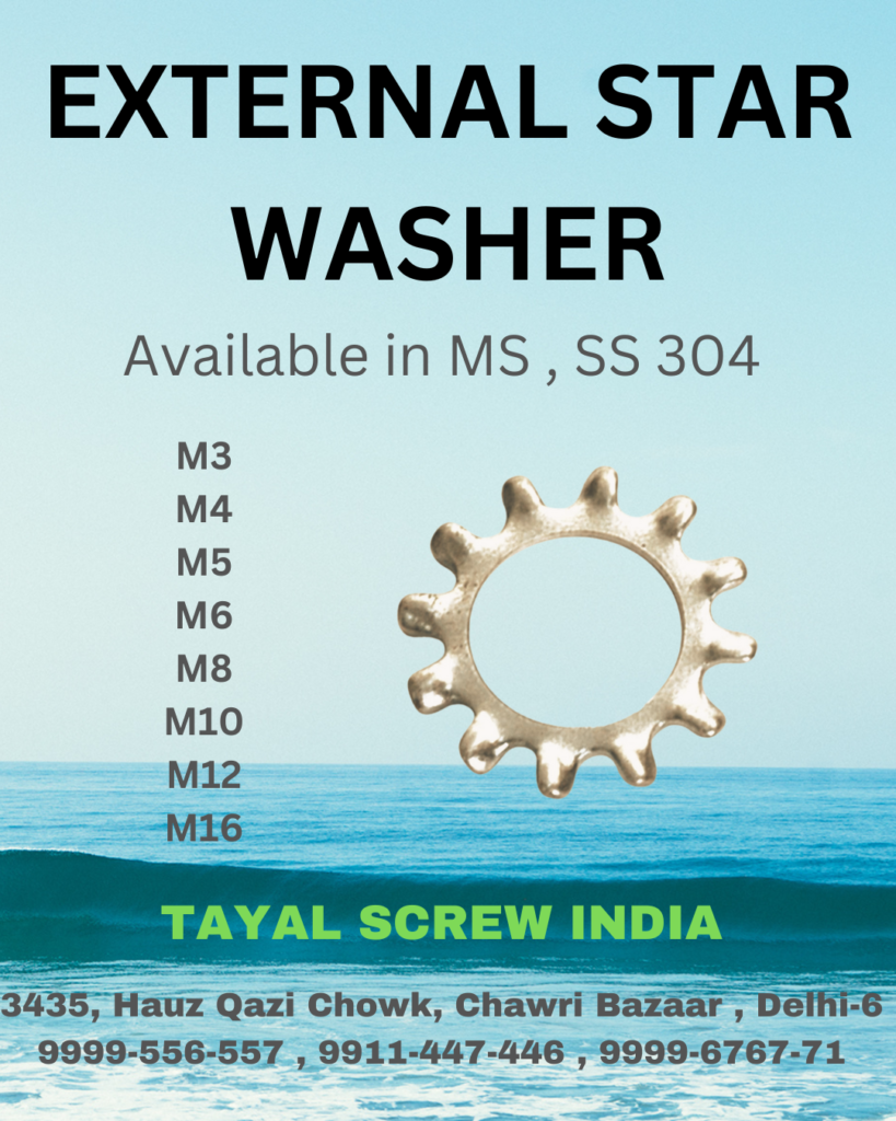 External Star Washer – Tayal Screw India